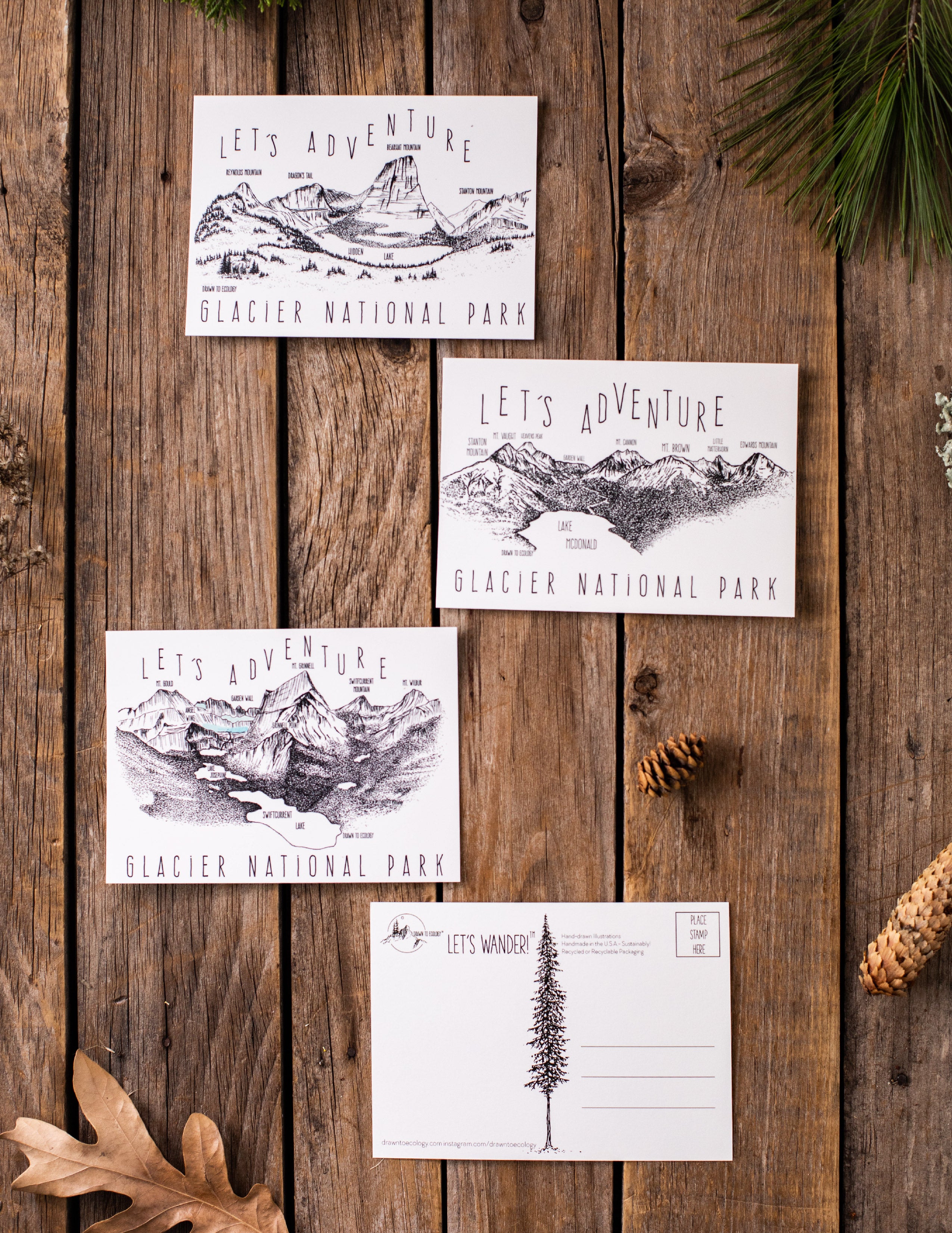Glacier National Park Bundle – Drawn to Ecology