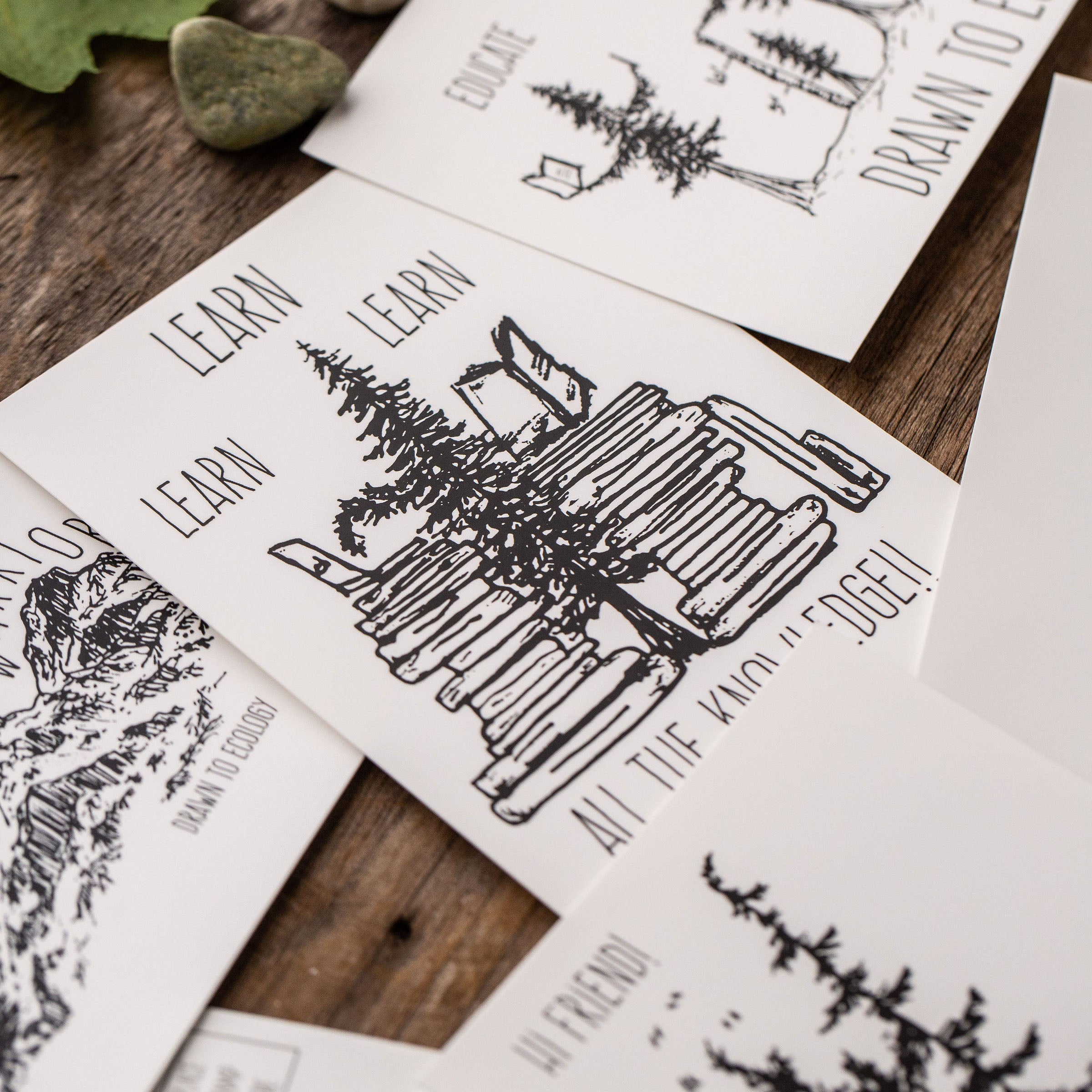 Postcards – Drawn to Ecology