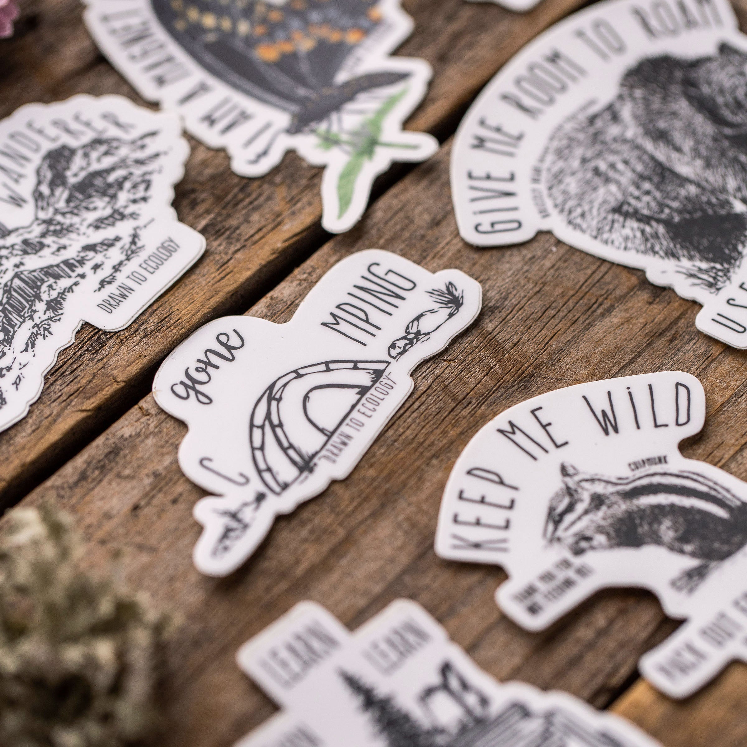 Stickers – Drawn to Ecology