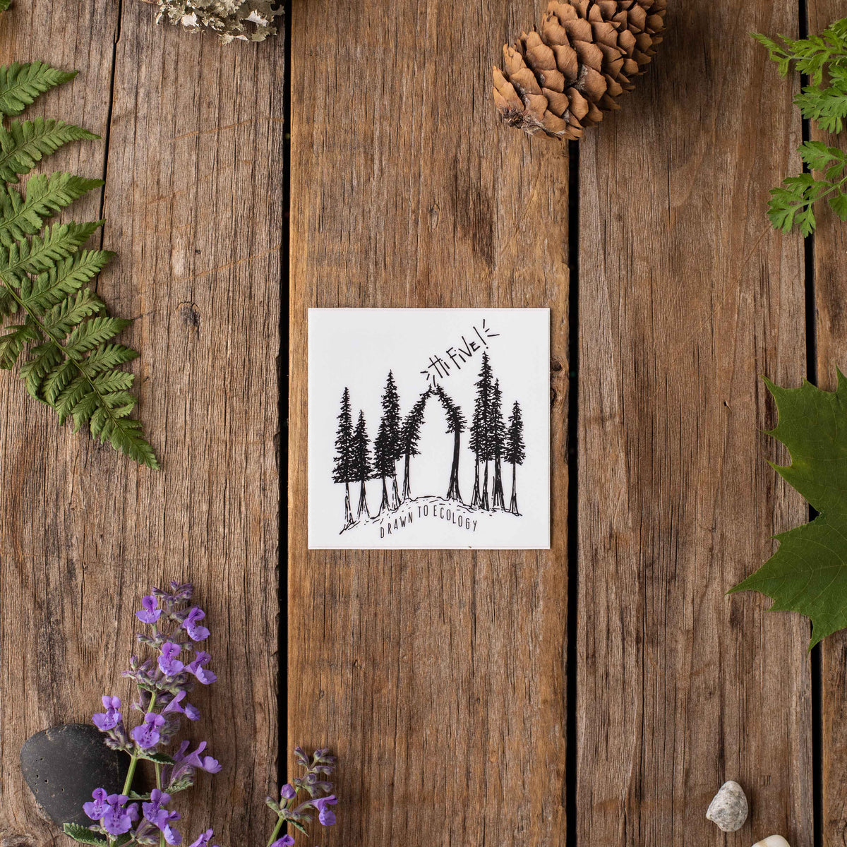 'Hi Five' Tree Sticker – Drawn to Ecology