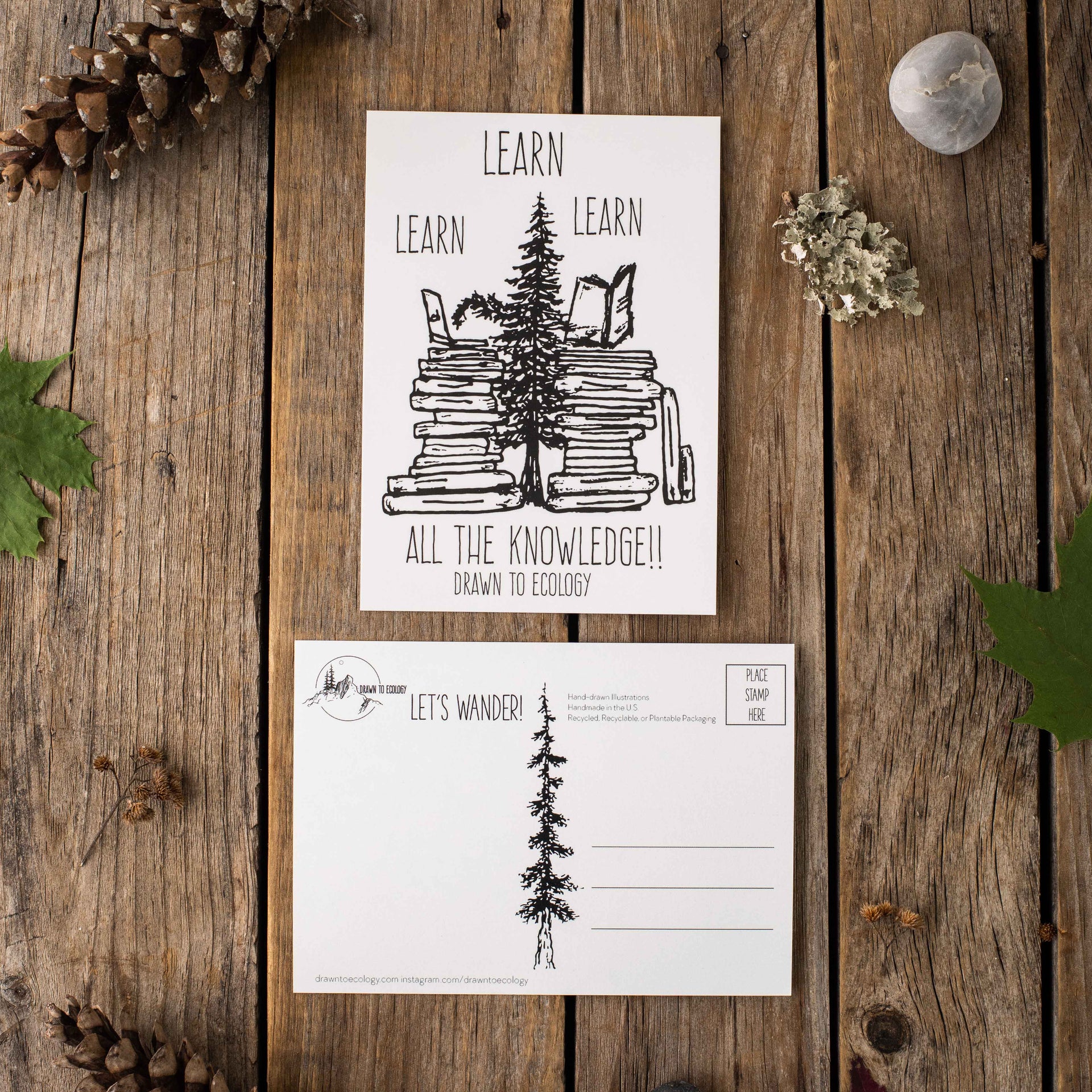 Learn Postcard – Drawn to Ecology
