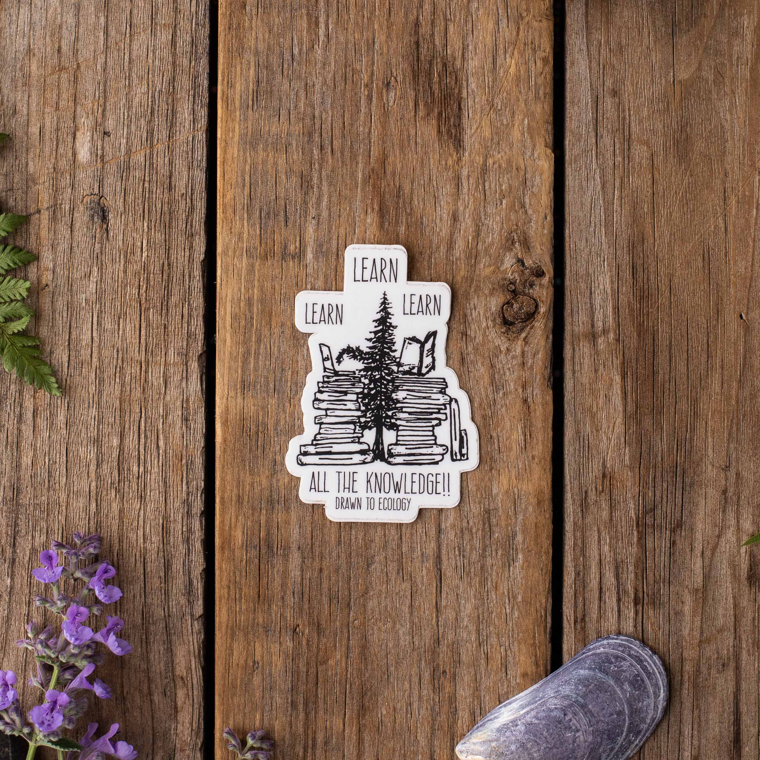 Learn Sticker – Drawn to Ecology
