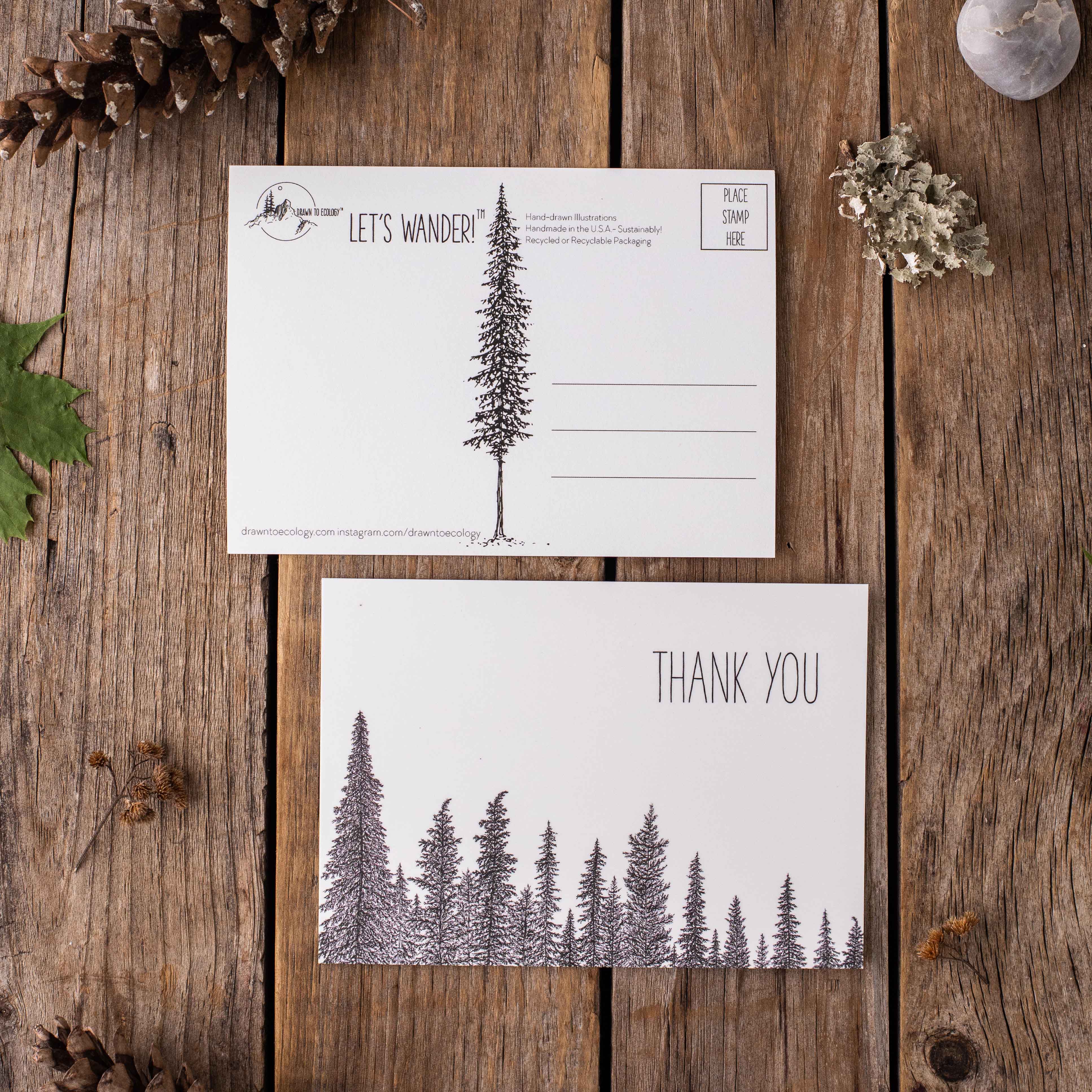 Thank you Trees Postcard – Drawn to Ecology