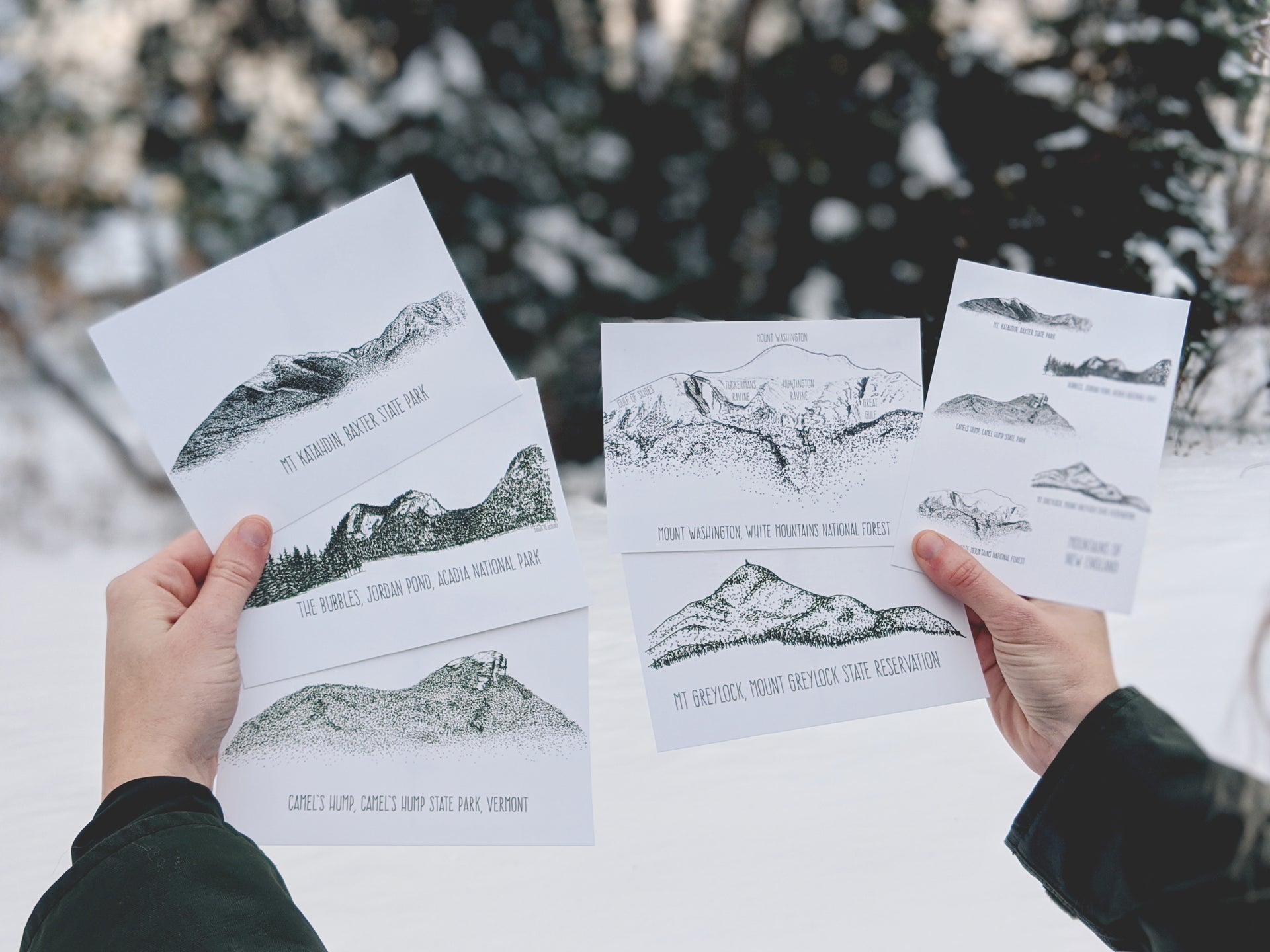 Mountains of New England Postcard Pack – Drawn to Ecology