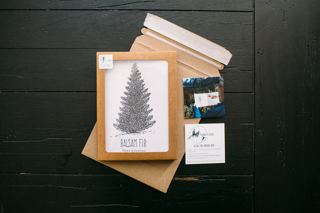 Tree Card Pack – Drawn to Ecology