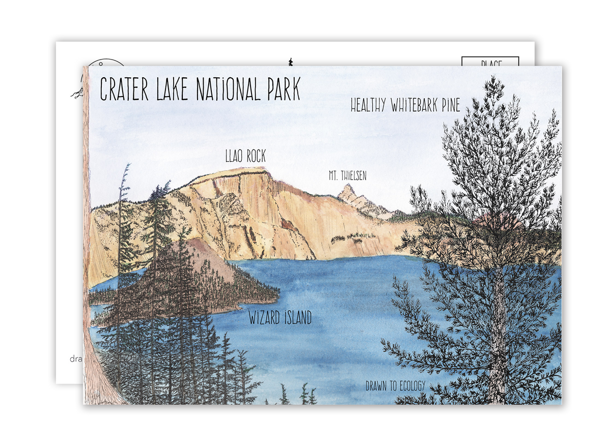 Crater Lake National Park Postcard – Drawn to Ecology