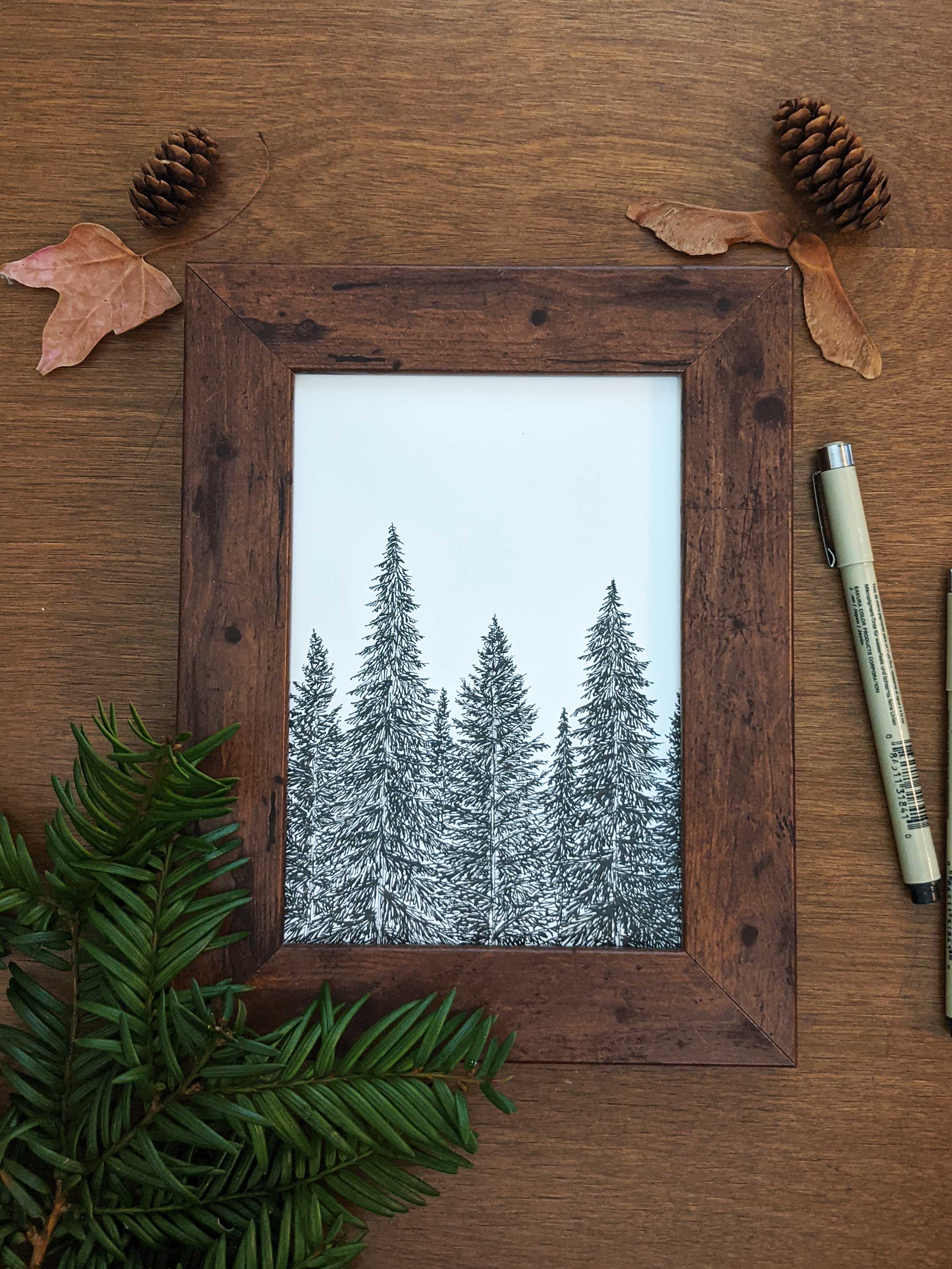 Frames – Drawn to Ecology