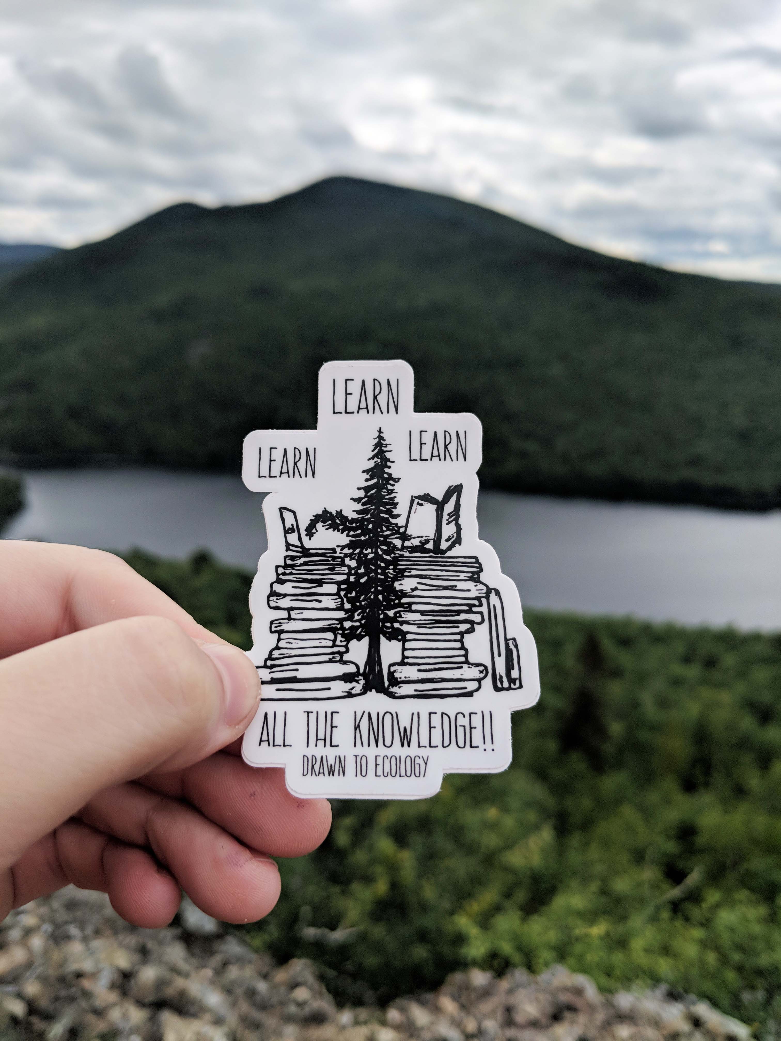 Learn Sticker – Drawn to Ecology