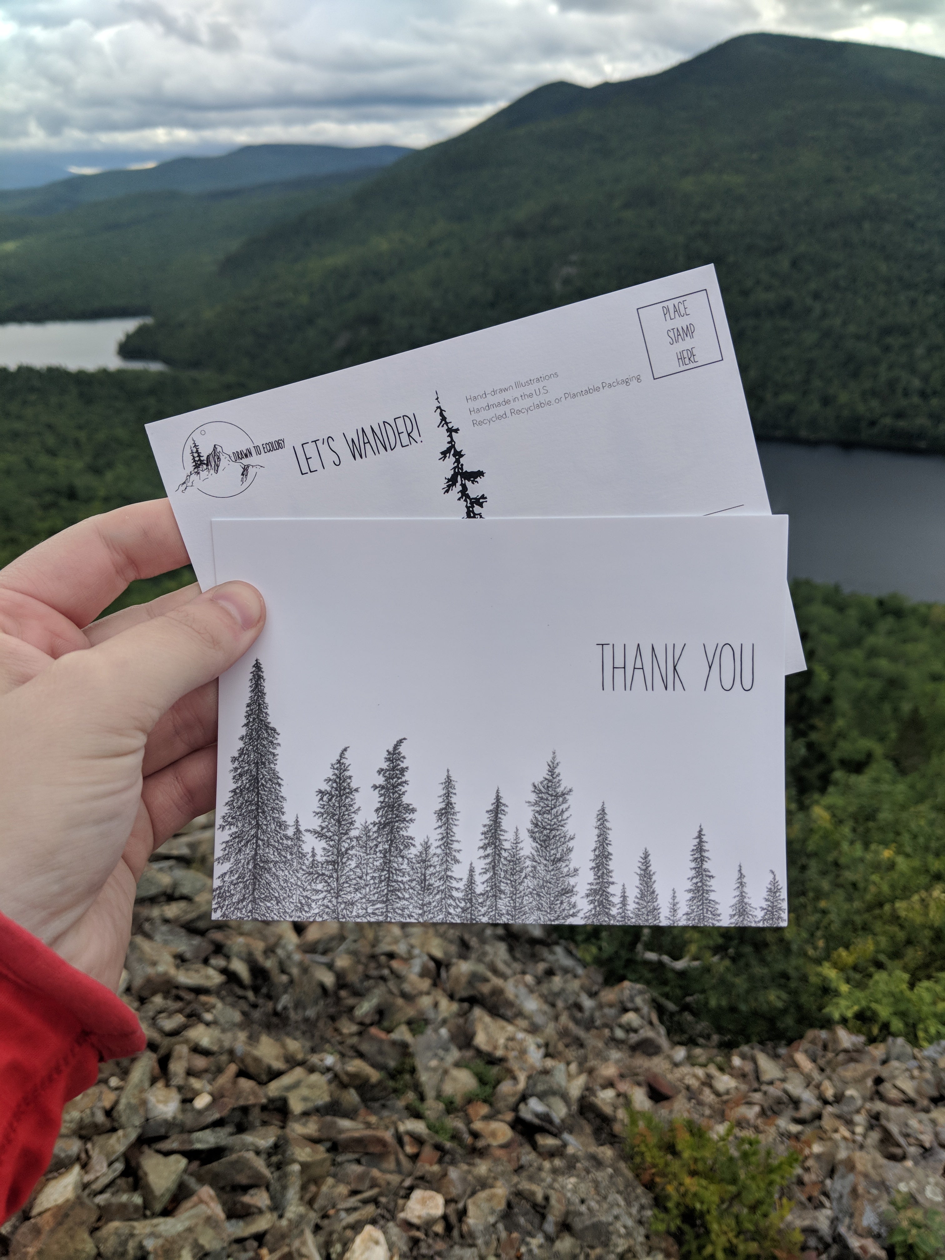 Thank you Trees Postcard – Drawn to Ecology