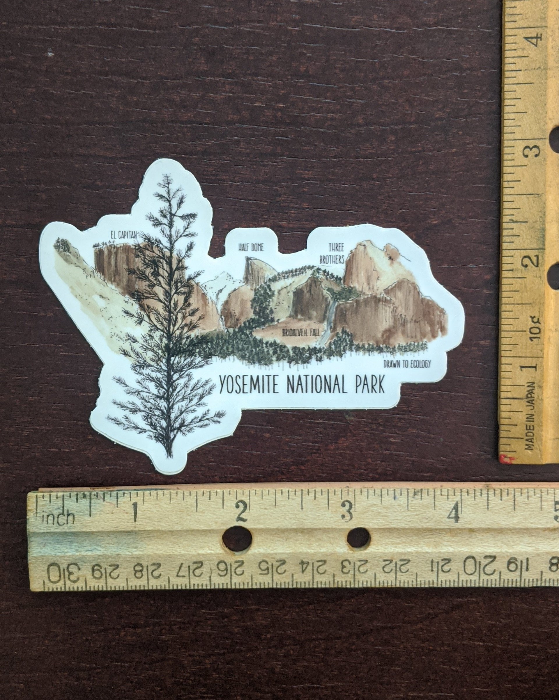 Yosemite National Park Sticker – Drawn to Ecology