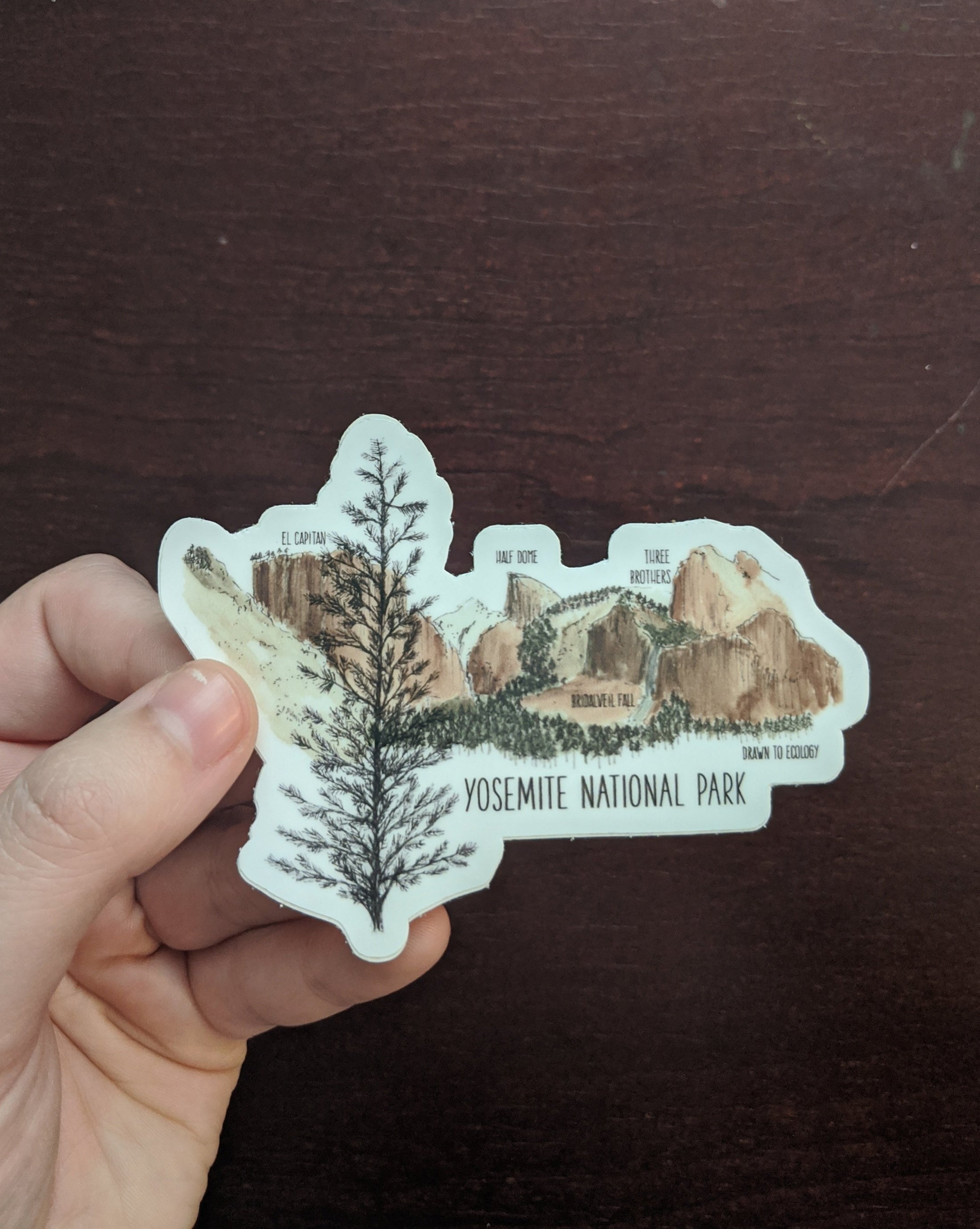 Yosemite National Park Sticker – Drawn to Ecology