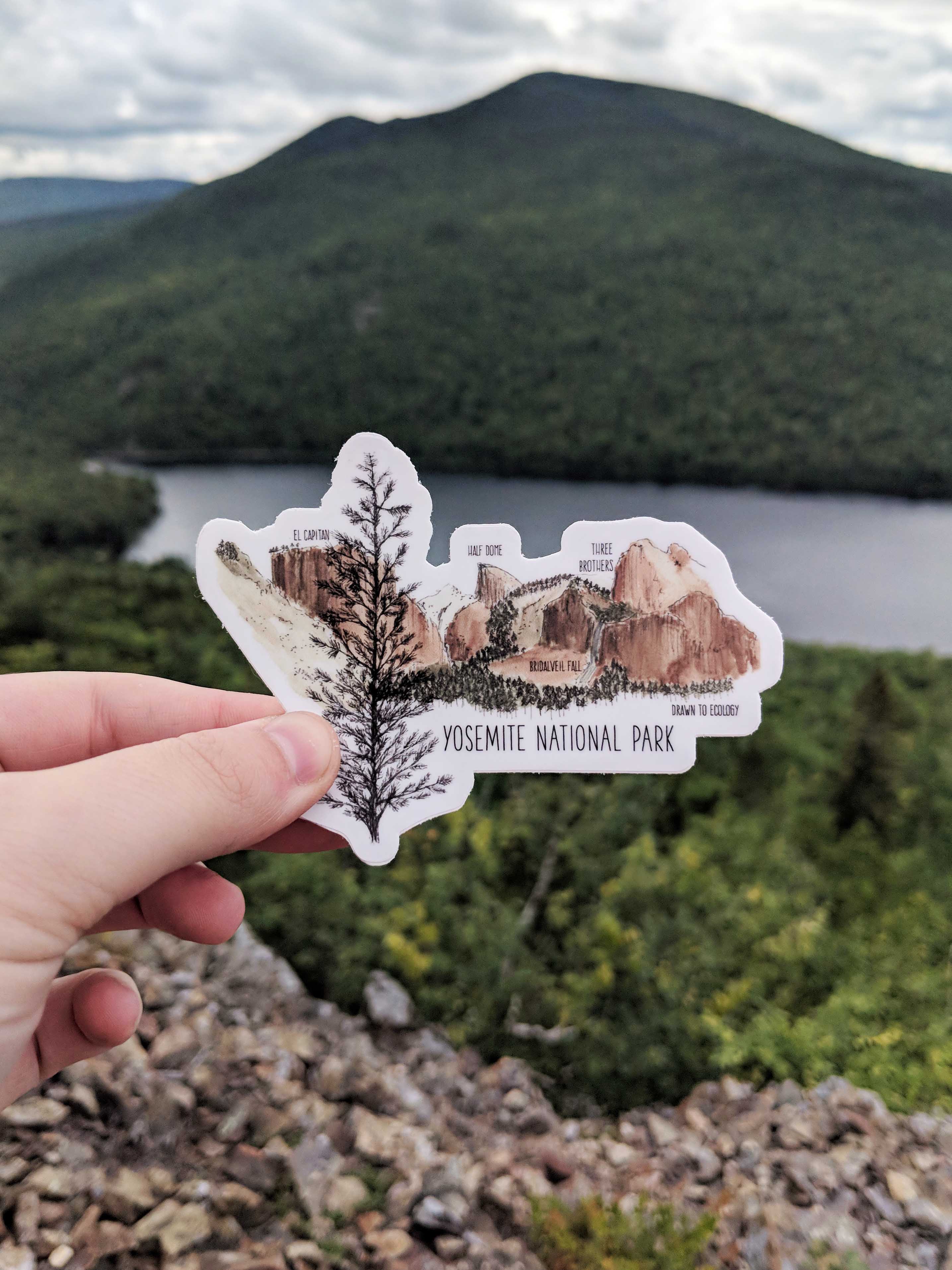 Yosemite National Park Sticker – Drawn to Ecology