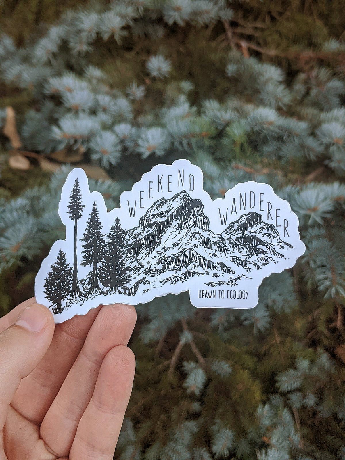 Weekend Wanderer Sticker – Drawn to Ecology